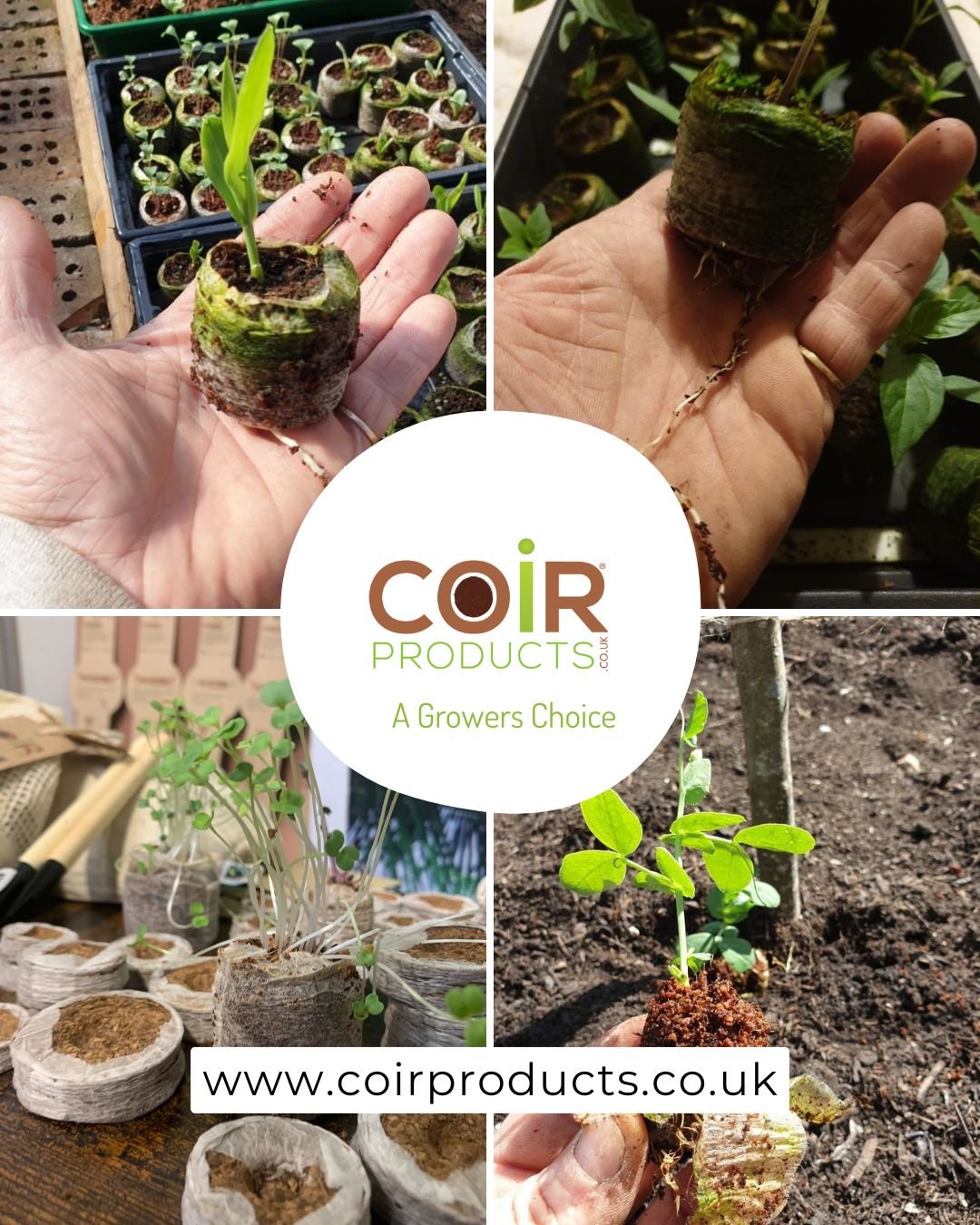 Seed growing and making the garden summer ready - CPUK